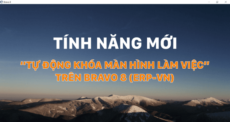 BRAVO 8R3 (ERP-VN) - Bravo